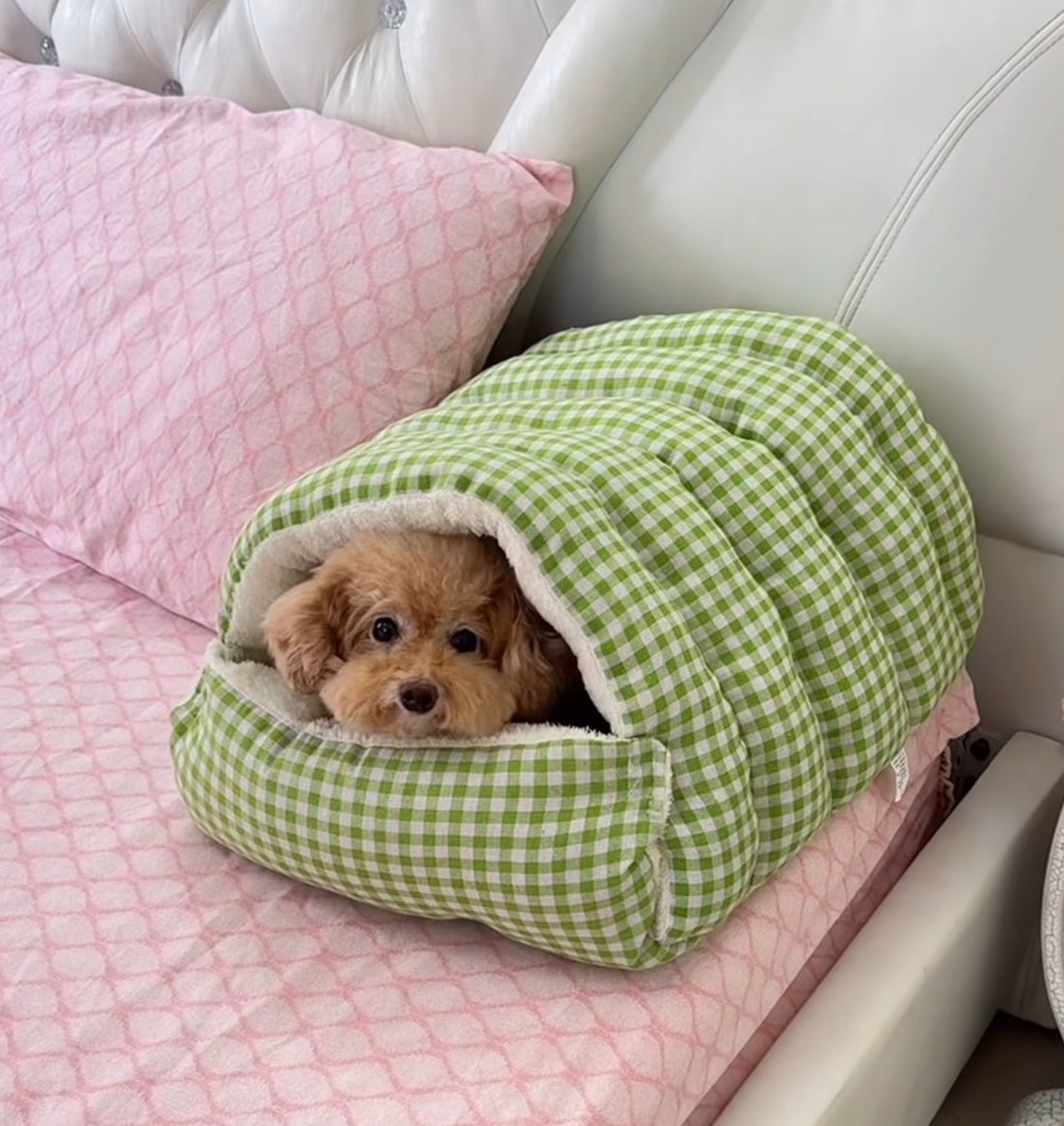 Cave Pet Bed – Paws Direction